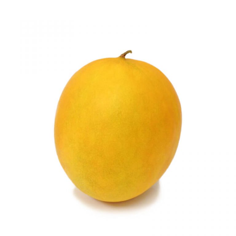 Fuzzy Squash - Vega Produce: Eat Exotic, Be Healthy - Shop Now