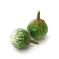 Fuzzy Squash - Vega Produce: Eat Exotic, Be Healthy - Shop Now