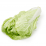Fuzzy Squash - Vega Produce: Eat Exotic, Be Healthy - Shop Now