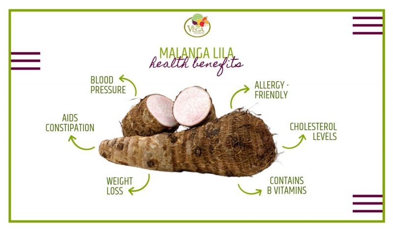 Malanga Lila Benefits - Vega Produce: Eat Exotic, Be Healthy