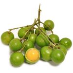 Tropical Fruits - Vega Produce: Eat Exotic, Be Healthy - Shop Now