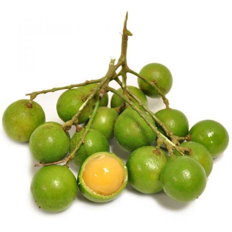 Tropical Fruits - Vega Produce: Eat Exotic, Be Healthy - Shop Now